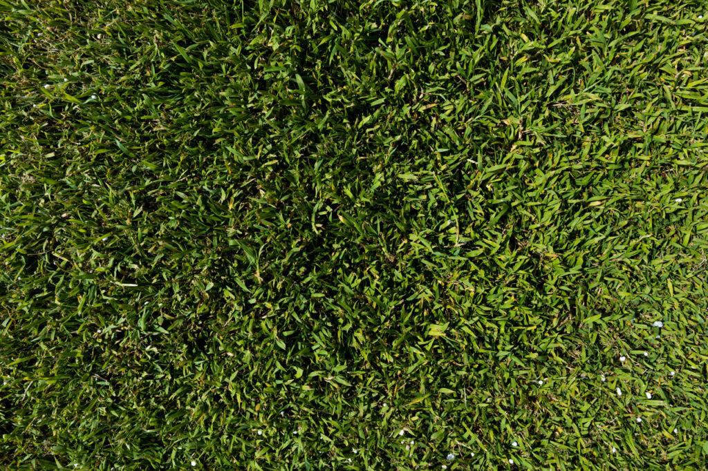 Turf Brisbane | Quality Direct From The Turf Farm | West Turf