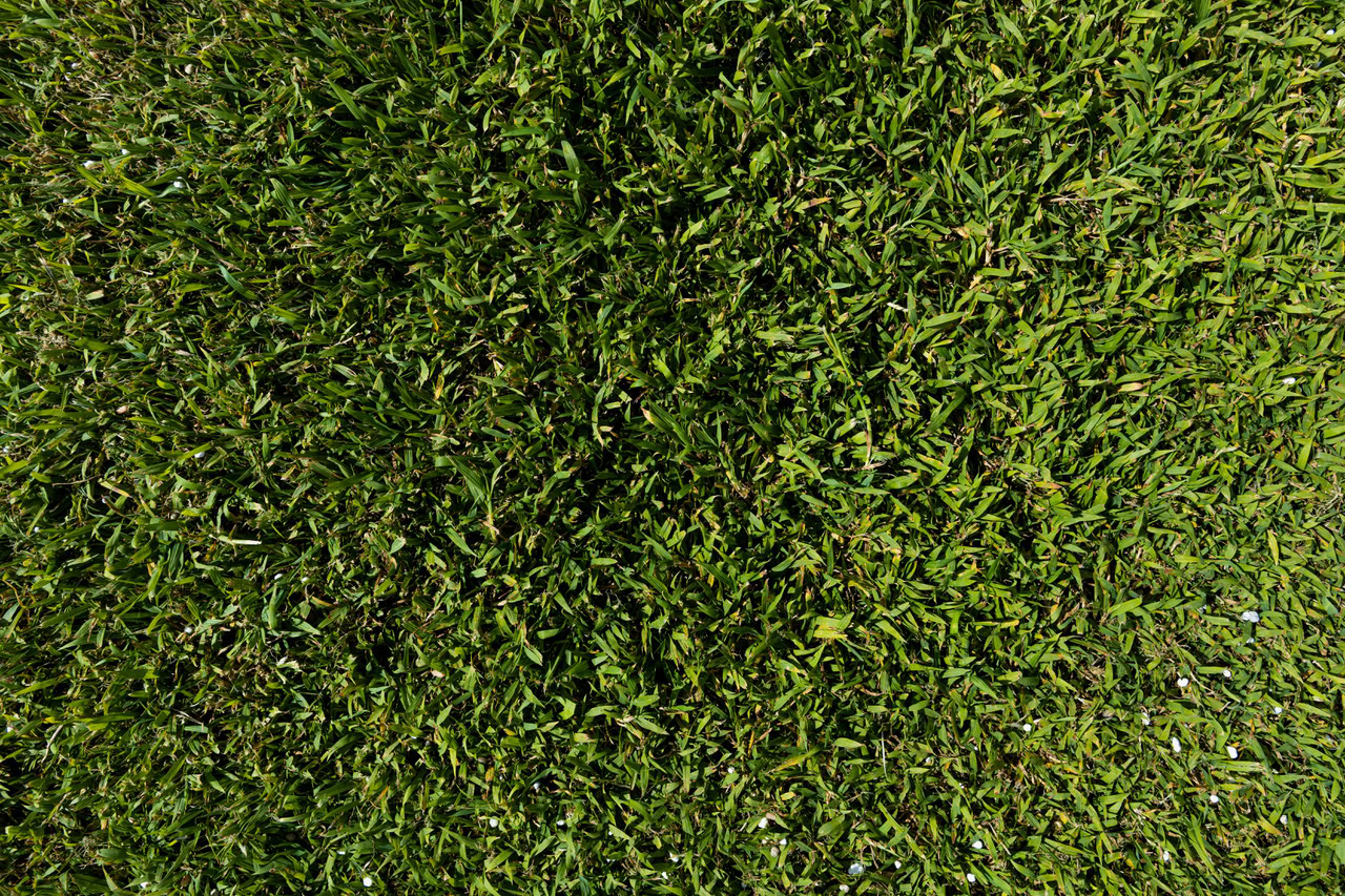 Turf Brisbane | Quality Direct From The Turf Farm | West Turf