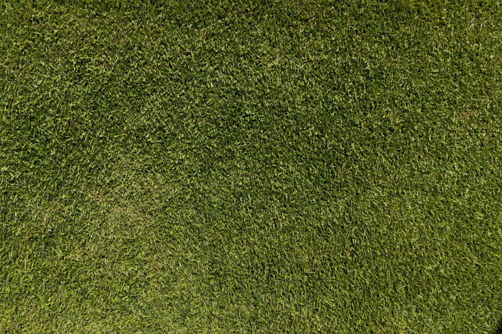 Turf Brisbane | Quality Direct From The Turf Farm | West Turf