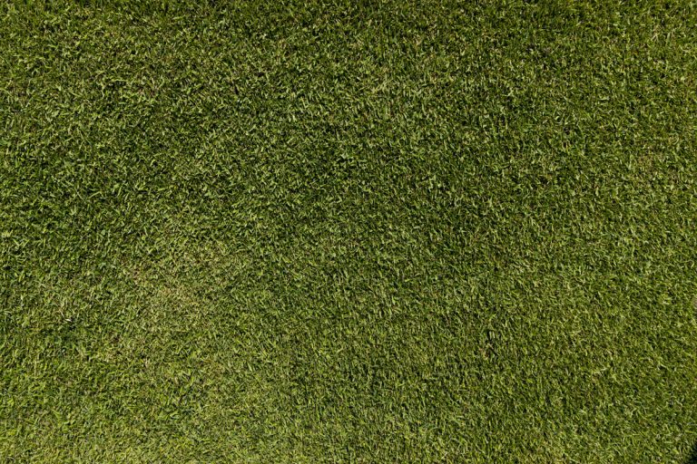 Turf Brisbane | Quality Direct From The Turf Farm | West Turf