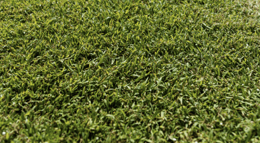 Customer DIY Turf Installs | West Turf Brisbane