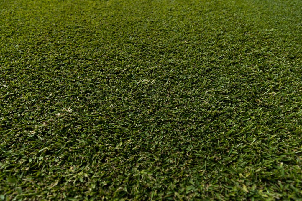 Turf Brisbane | Quality Direct From The Turf Farm | West Turf